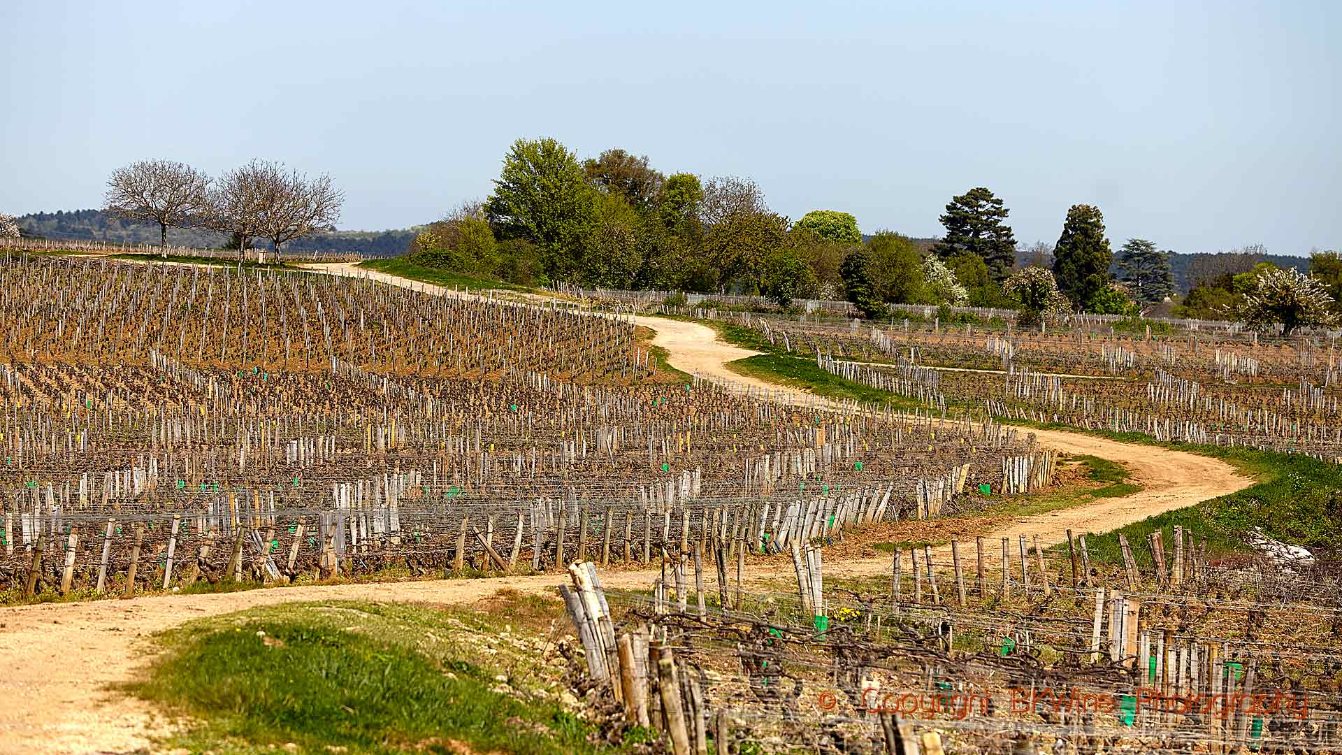 Burgundy Wine Tour | The Specialist on Wine Travel, BKWine