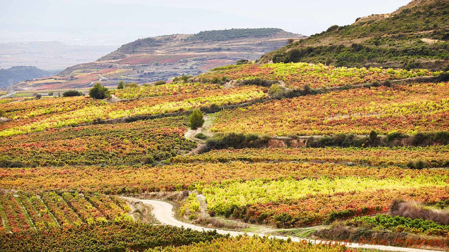 TWE Best Wine Travel Destination: The Basque Country in Spain, with ...