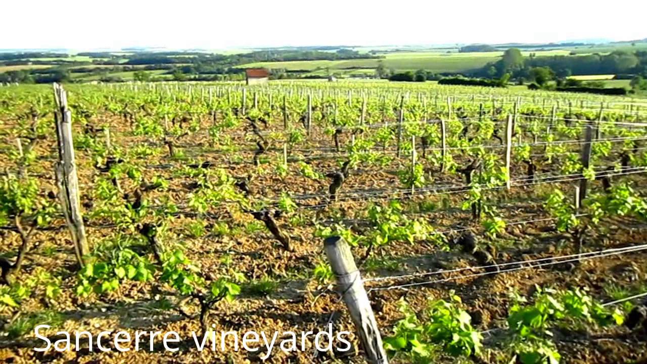 Rolling hills, charming towns, excellent wines and cheese: Sancerre in ...